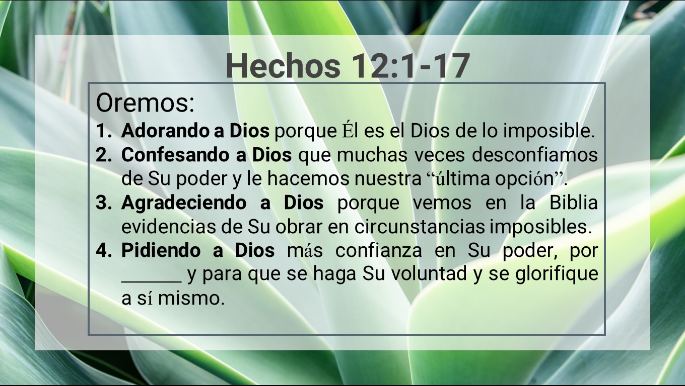 Las oraciones de la iglesia – Hechos 12:1-17 – Iglesia Berea Centro ...