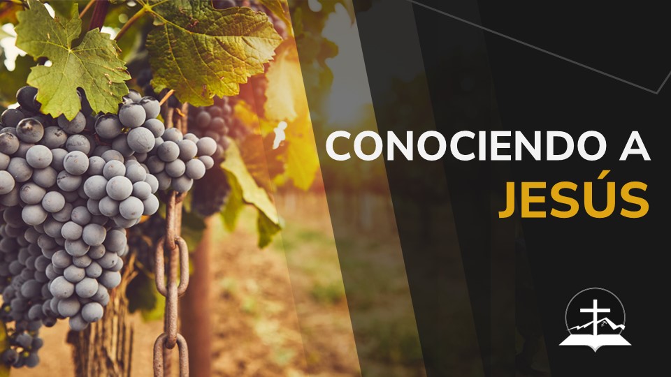 Conociendo a Jesús – Tres razones para dedicar nuestras vidas a ...